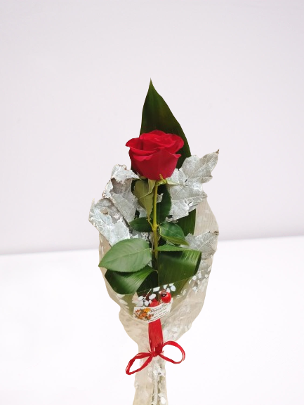 Rosa individual natural – Poblaflor